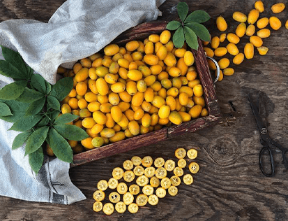 SOCIAL MEDIA MANAGEMENT – Hats Media